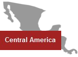 Cgi Federal Us Visa